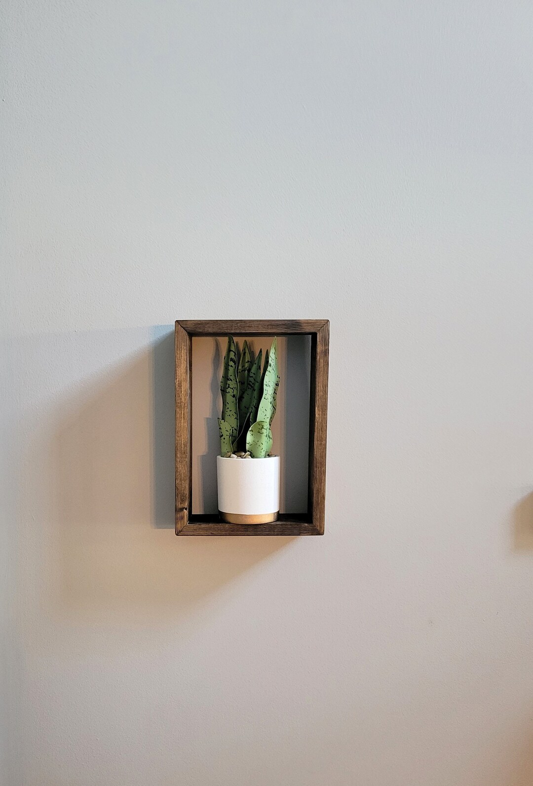 Plant Shelf, Plant Shelves, Floating Shelf, Floating Plant Shelf - Etsy