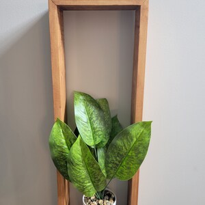 Plant Shelf, Plant Shelves, Floating Shelf, Floating Plant Shelf - Etsy