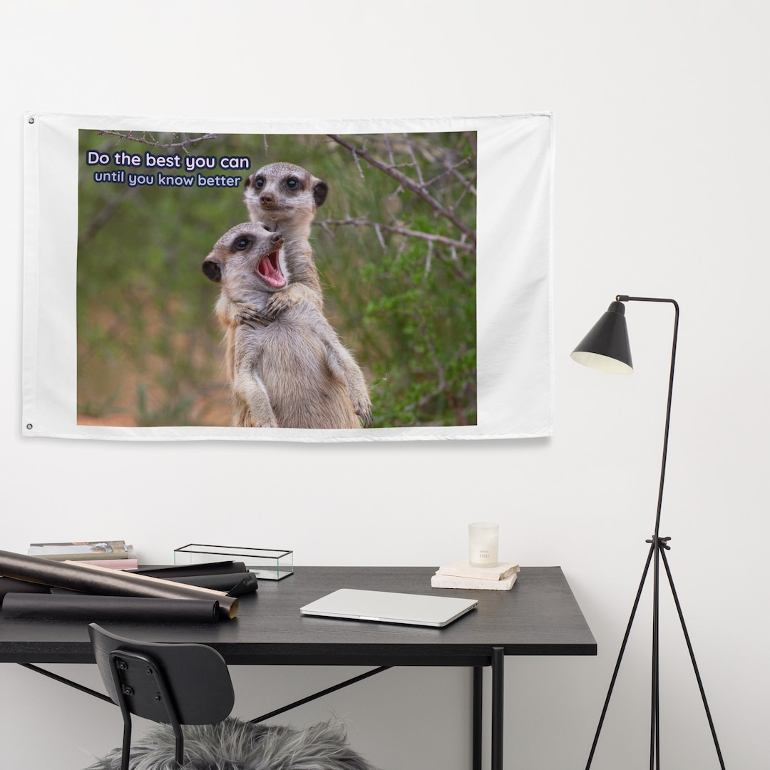 Do the Best You Can Until You Know Better Flag, Funny Flag - Etsy