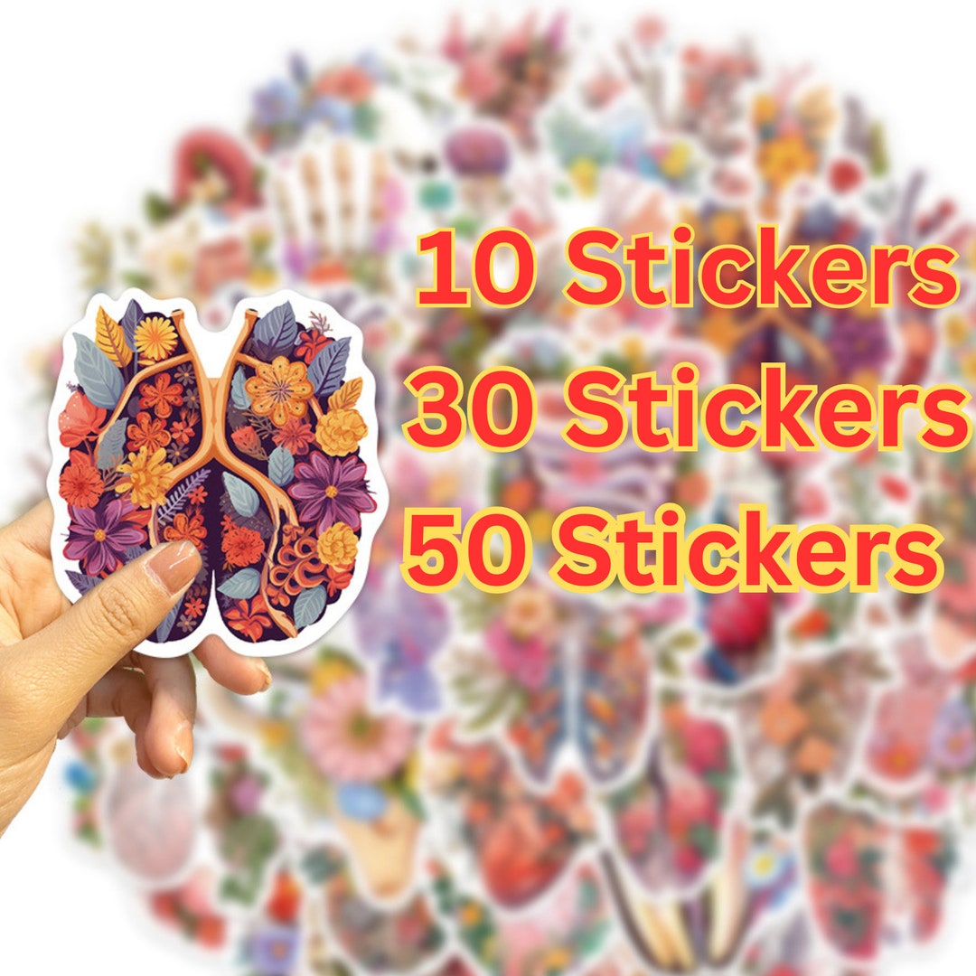 Anatomy Stickers Goodnotes, Human Organ Stickers, Cute Medical Anatomy ...