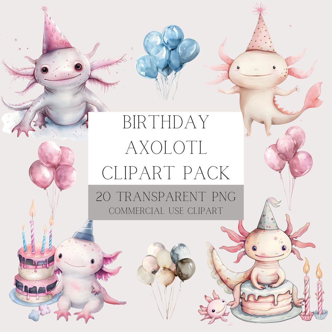 High-quality Axolotl Birthday Clipart PNG Instant Download Graphics - Etsy