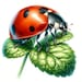 Ladybug Clipart Bundle | Red Beetle Digital Prints, Set of 11 Jpgs - Etsy