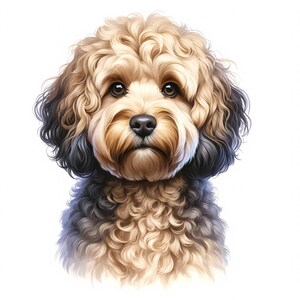 Cockapoo Dog Clipart - 12 High-quality Jpgs - Digital Download - Card ...