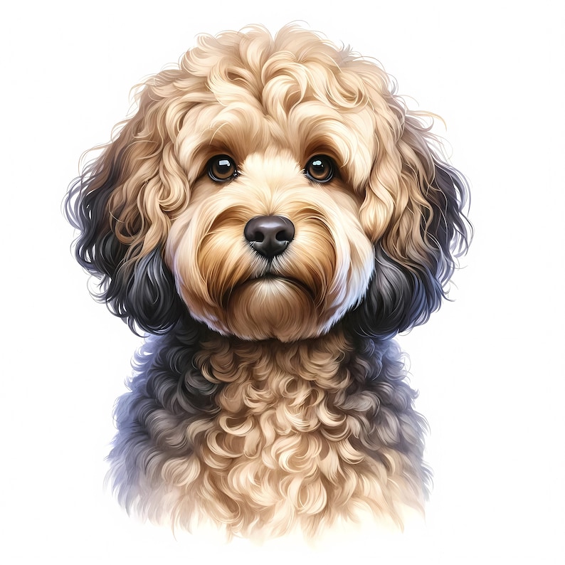 Cockapoo Dog Clipart 12 High-quality Jpgs Digital Download Card Making ...