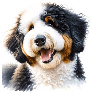 Bernedoodle Clipart - 11 High-quality Jpgs - Cute Bernedoodle Clipart ...