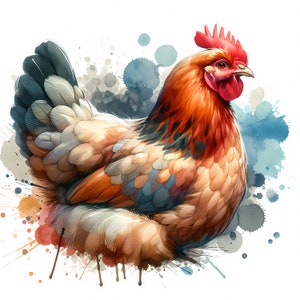 12 Hen Clipart Bundle: Farm Bird Jpgs for Commercial Use (digital ...