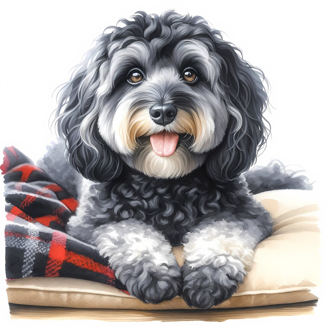 Black and Grey Cockapoo Clipart 11 High-quality Jpgs Digital Download ...