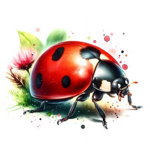 Ladybug Clipart | 11 High-quality Jpgs | Red Beetle Clipart Bundle ...