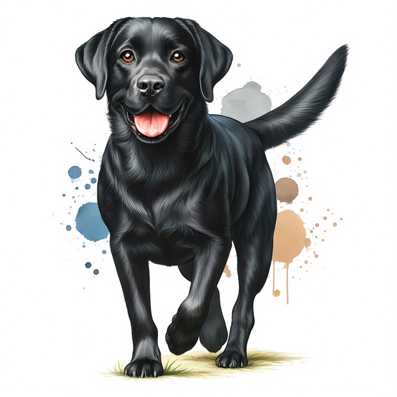 Black Labrador Clipart Bundle | High-quality Dog Art (digital Download ...