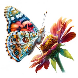 Butterfly Clipart | 12 High-quality Jpgs | Colorful Butterflies Clipart ...