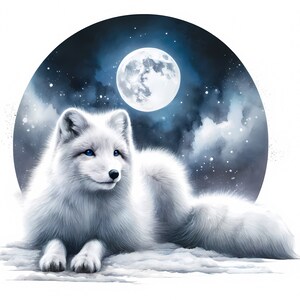 Arctic Fox Clipart | 12 High-quality Jpgs | Snowy Arctic Fox Clipart ...