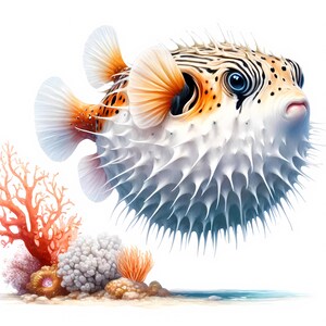 Puffer Fish Clipart | 12 High-quality Jpgs | Whimsical Pufferfish ...