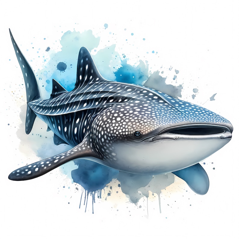 Whale Shark Clipart | Marine Nautical Art Prints (digital Download) 12 ...