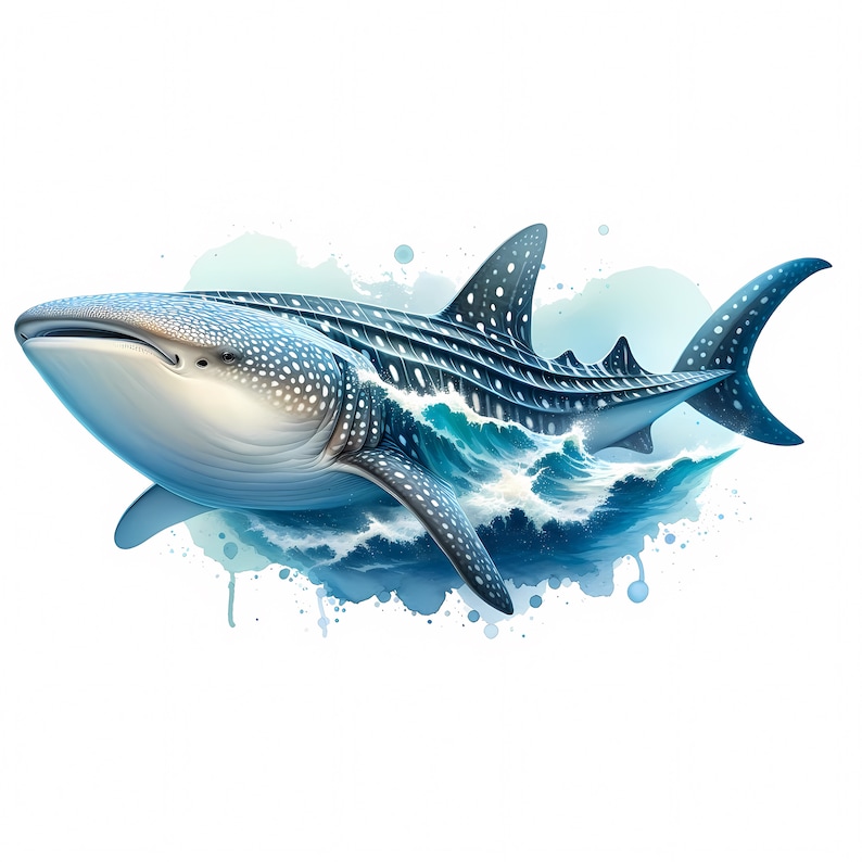 Whale Shark Clipart | Marine Nautical Art Prints (digital Download) 12 ...