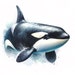 Killer Whale Clipart 12 High-quality Jpgs Orca Whale Clipart Bundle ...