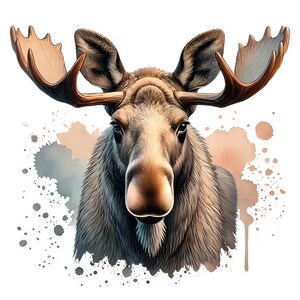 Moose Clipart | 11 High-quality Jpgs | Majestic Moose Clipart Bundle ...