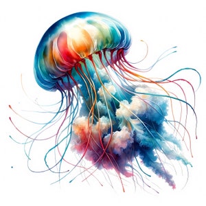 Jellyfish Clipart - 11 High-quality Jpgs - Colorful Jellyfish Clipart ...