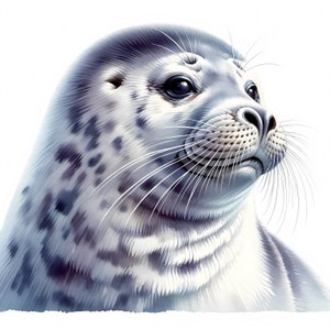 Seal Clipart Bundle - 11 High-quality Jpgs - Wall Art - Aquatic Art ...