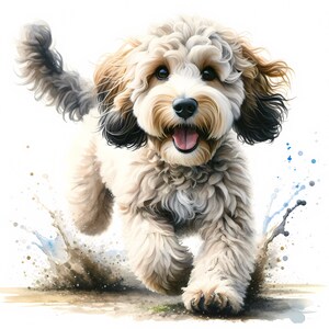 Cockapoo Dog Clipart - 12 High-quality Jpgs - Digital Download - Card ...