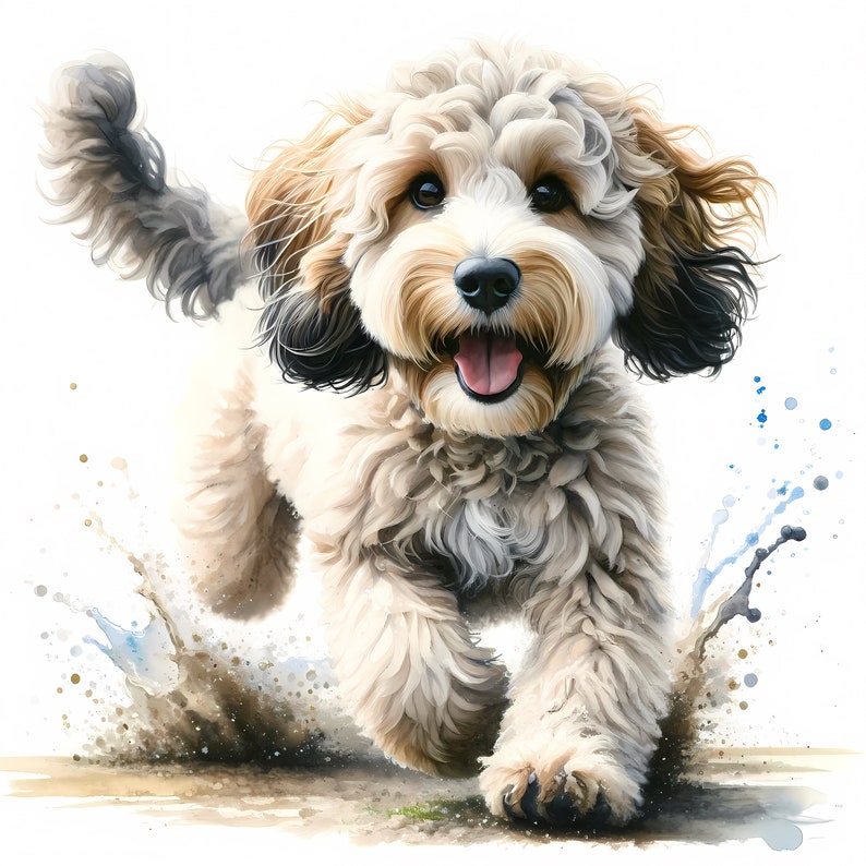 Cockapoo Dog Clipart 12 High-quality Jpgs Digital Download Card Making ...