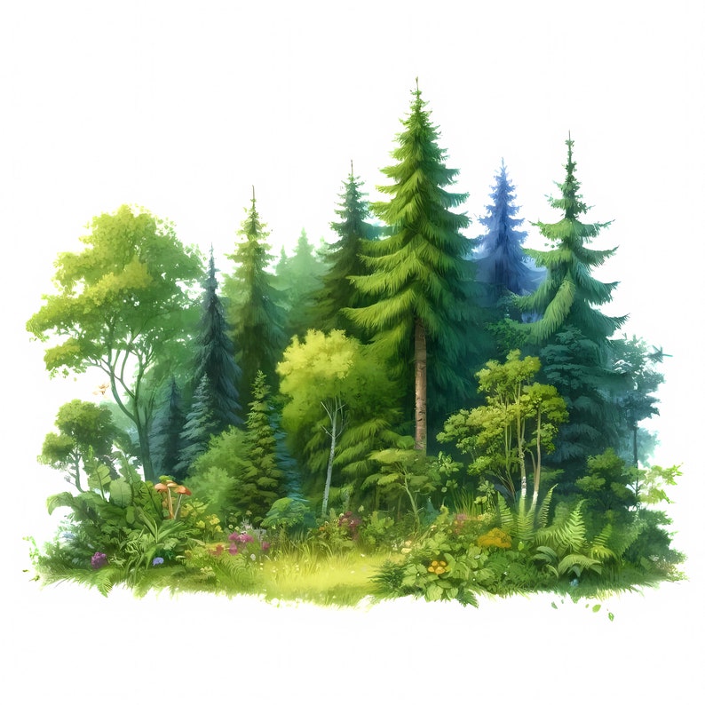 Enchanting Forest Clipart Bundle – High-quality Jpgs (digital Download ...