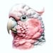 Galah Cockatoo Clipart 12 High-quality Jpgs Majestic Galah Cockatoo ...