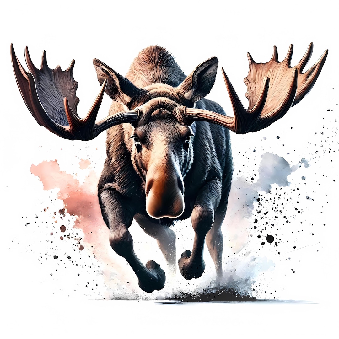 Moose Clipart | 11 High-quality Jpgs | Majestic Moose Clipart Bundle ...