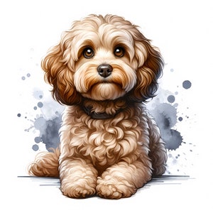 Cavapoo Clipart | 12 High-quality Jpgs | Cute Cavapoo Clipart Bundle ...