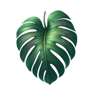 Monstera Leaf Clipart | Tropical Wall Art Bundle (digital Download) Set ...