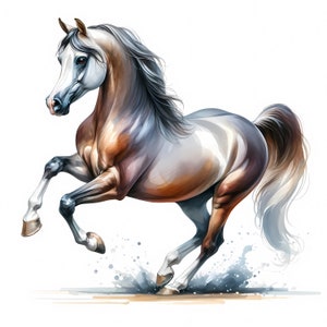 Watercolor Arabian Horse Clipart: Equine Wall Art (digital Download ...