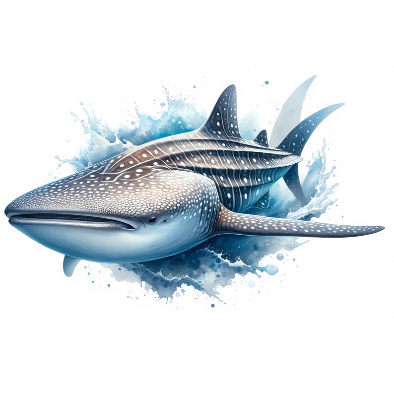 Whale Shark Clipart | Marine Nautical Art Prints (digital Download) 12 ...