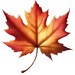 Maple Leaf Clipart: Fall Autumn Art (digital Download, Commercial Use ...