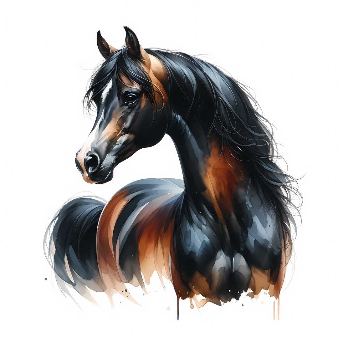 Arabian Horse Clipart | 10 High-quality Jpgs | Majestic Arabian Horse ...