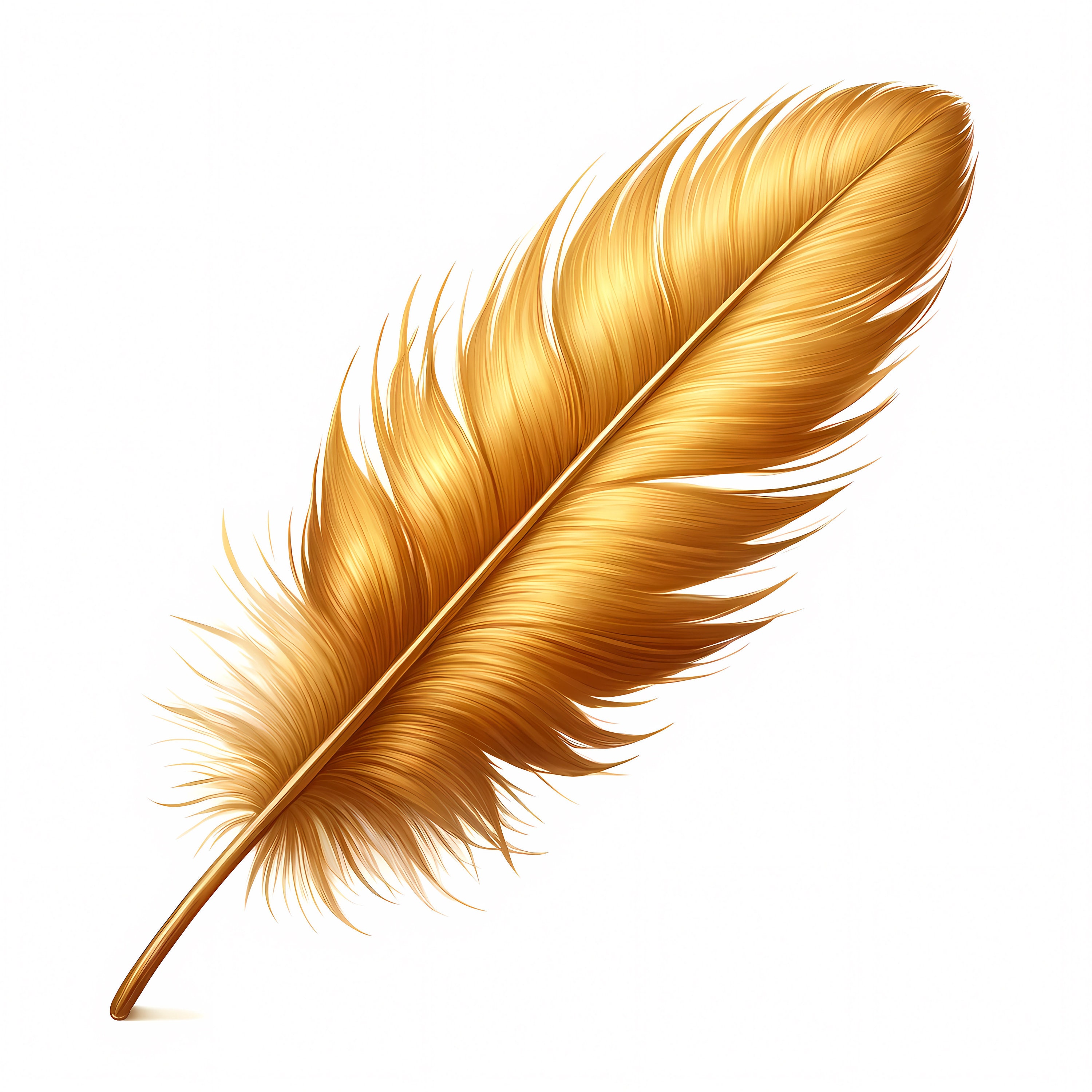 Colorful Feather Clipart | Boho Feather Art, Commercial Use (digital ...
