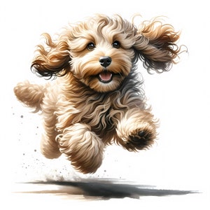 Cockapoo Dog Clipart - 12 High-quality Jpgs - Digital Download - Card ...
