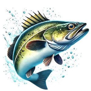 Cod Fish Clipart | 11 High-quality Jpgs | Elegant Cod Fish Clipart ...