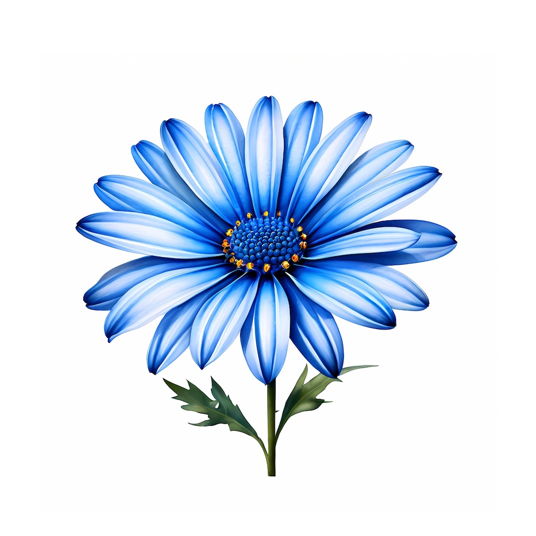 Blue Daisy Clipart | Floral JPG Bundle (digital Download) Set of 10 - Etsy