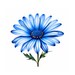 Blue Daisy Clipart | Floral JPG Bundle (digital Download) Set of 10 - Etsy