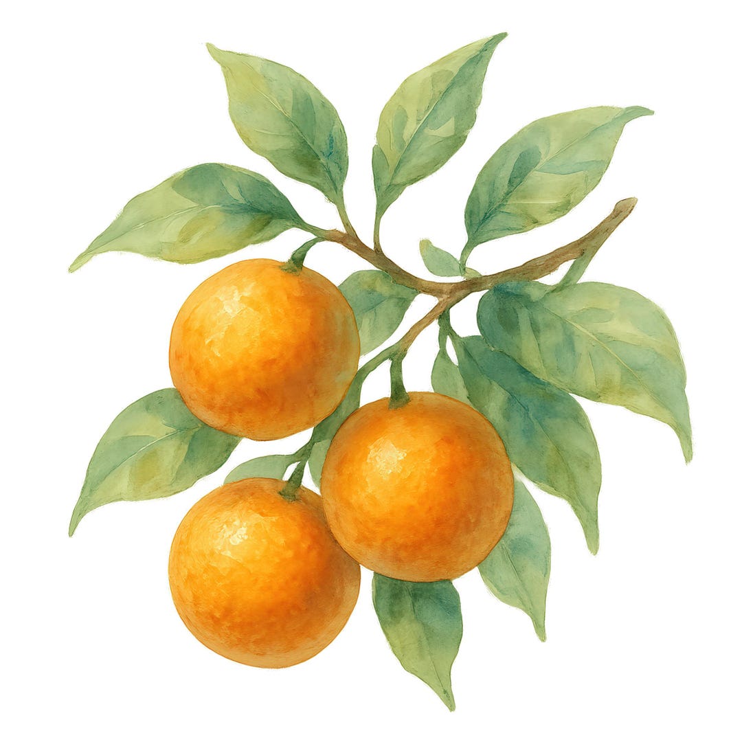 Watercolor Orange Branch Clipart, Vibrant Orange Branch Clipart Bundle ...