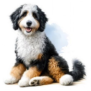 Bernedoodle Clipart - 11 High-quality Jpgs - Cute Bernedoodle Clipart ...