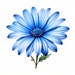 Blue Daisy Clipart | 10 High-quality Jpgs | Clipart Bundle | Wall Art ...