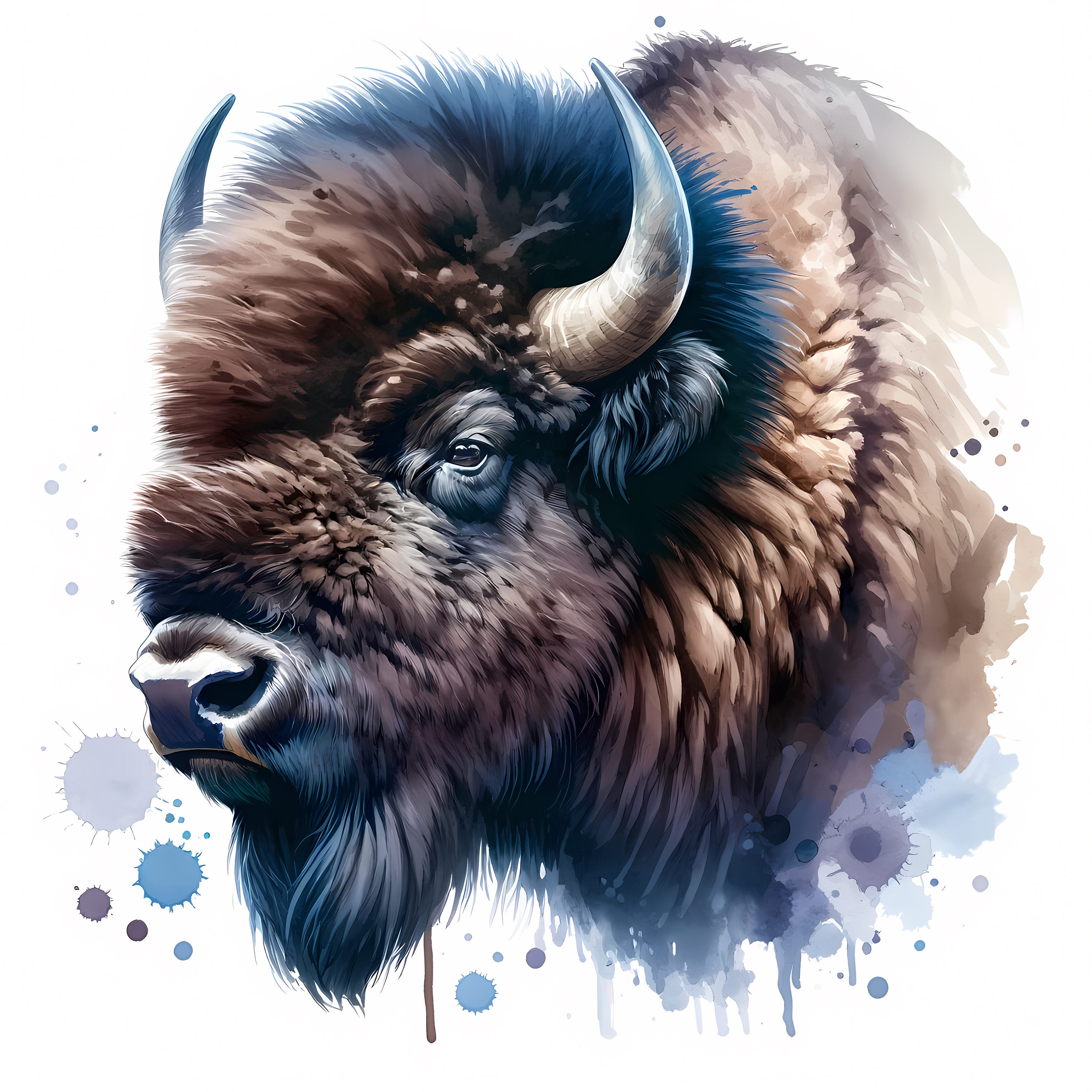 American Bison Clipart 11 High-quality Jpgs Bison Clipart Bundle ...
