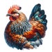 12 Hen Clipart Bundle: Farm Bird Jpgs for Commercial Use (digital ...