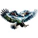Bald Eagle & Nature Clipart 12 High-quality Jpgs Powerful Bald Eagle ...