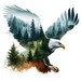 Bald Eagle & Nature Clipart 12 High-quality Jpgs Powerful Bald Eagle ...