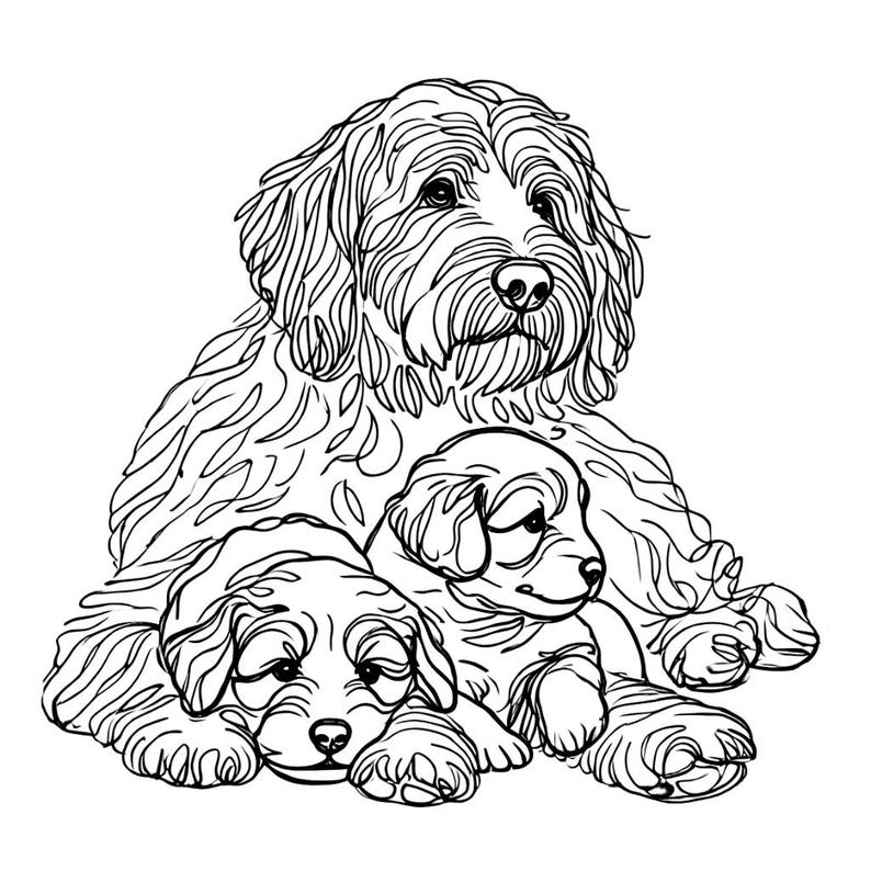 10 Bernedoodle Dog Line Art Clipart Bundle: T-shirt Design (digital ...