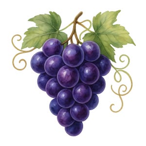 Bunch of Grapes Clipart, Vibrant Grapes Bundle PNG, Watercolor Clipart ...