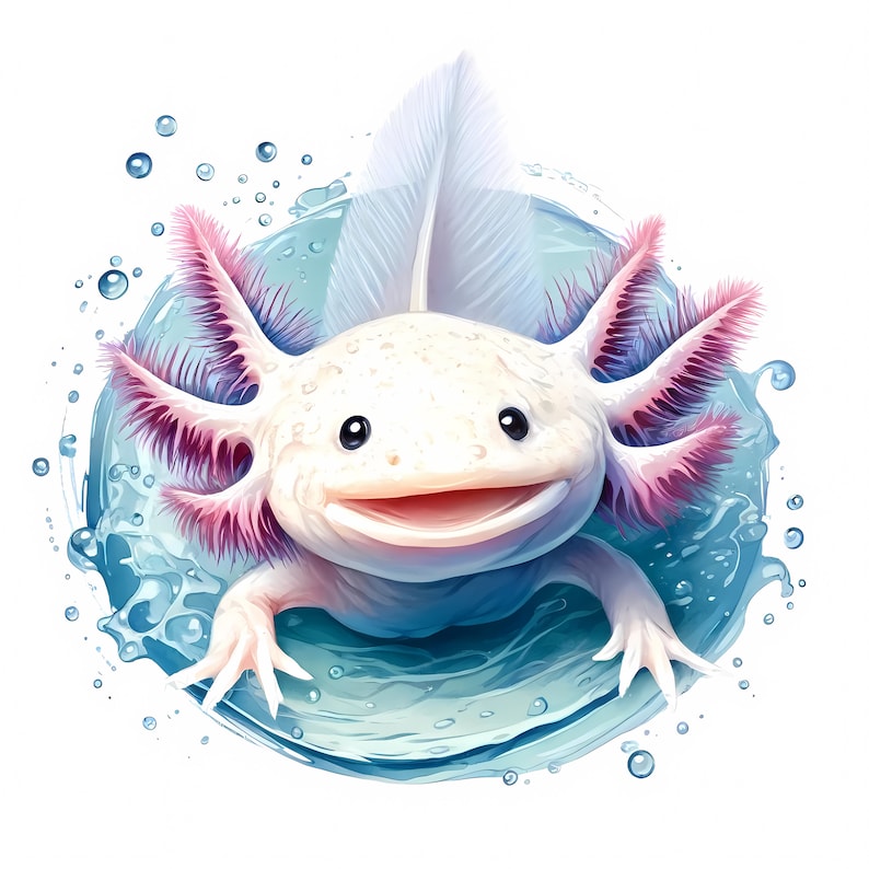 Axolotl Clipart 12 High-quality Jpgs Cute Axolotl Clipart Bundle ...