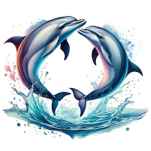 Dolphin Clipart | 11 High-quality Jpgs | Playful Dolphin Duo Clipart ...
