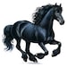 Friesian Horse Clipart Bundle | High-quality Equine Art (digital ...